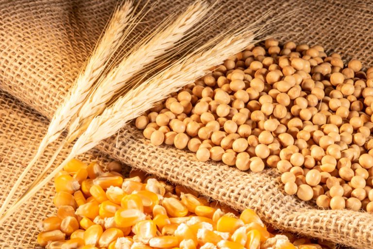 Agriculture Commodities – Astra